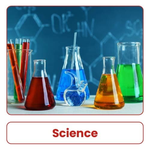 NCERT Solutions For Class 7 - Download Free PDF